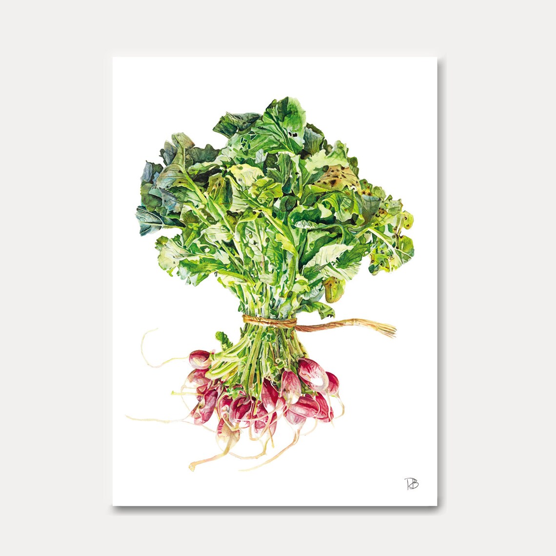 Radish Card-carte Radis-carte - Etsy