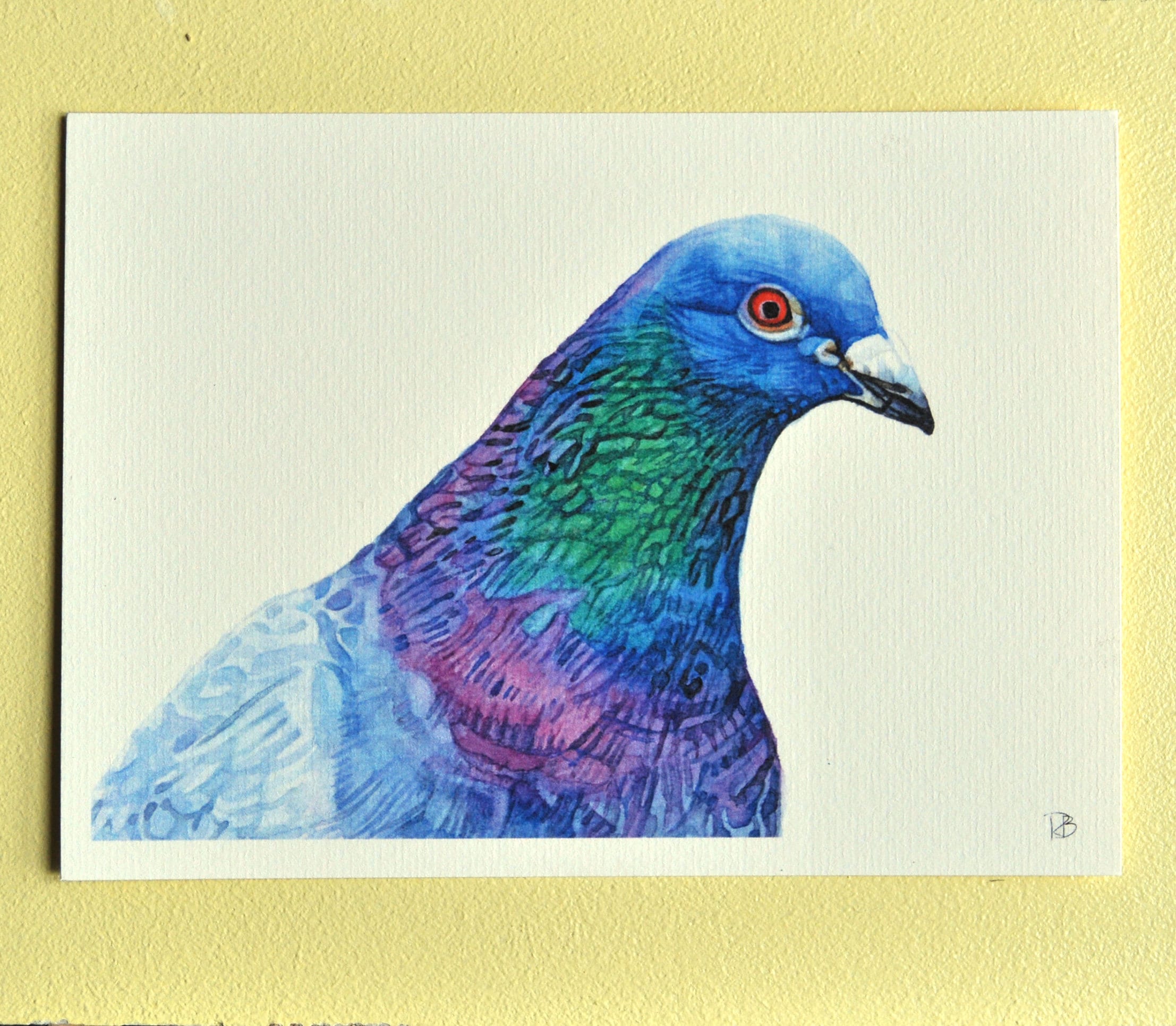 Pigeon Cardpigeonprinted Cardbird Cardbirdslovers Card - Etsy