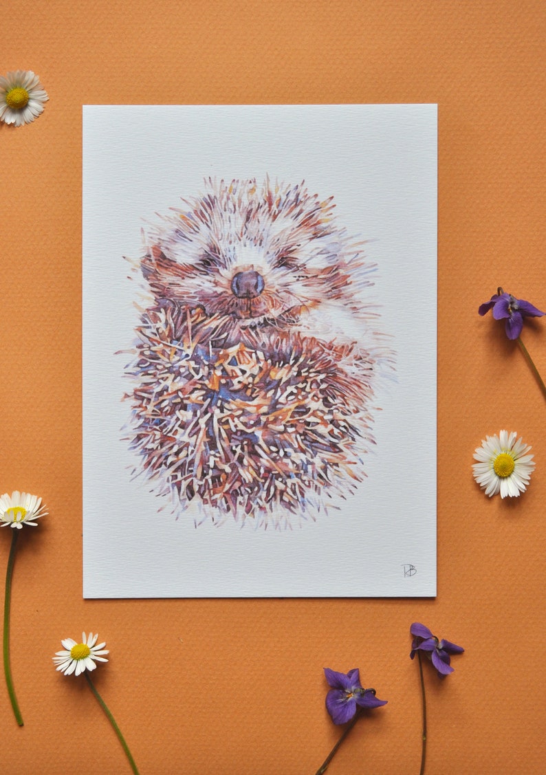 Hedgehog Card Hedgehog, Printed Card, Animal Lovers,watercolor, Animal ...