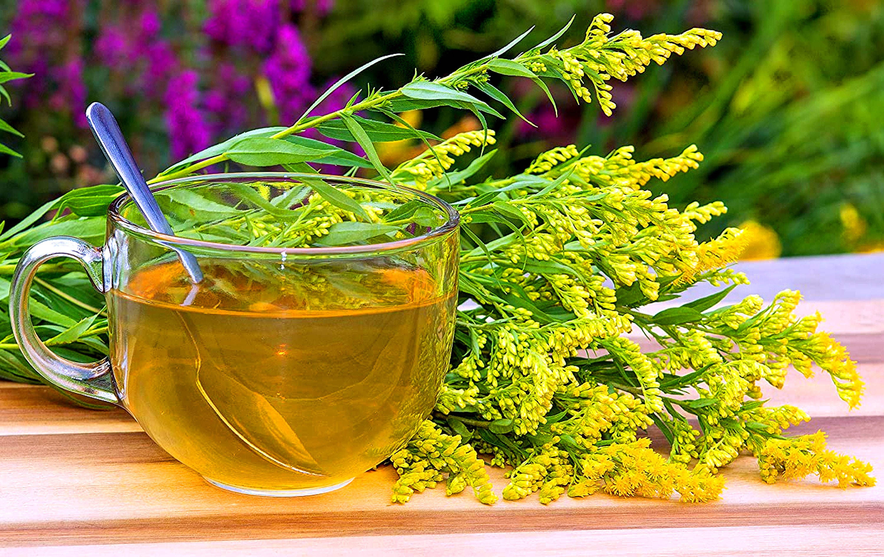 Goldenrod Tea