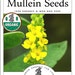 Mullein 100 Seeds Common Mullein Seeds Heirloom Seeds, Medicinal Herb ...