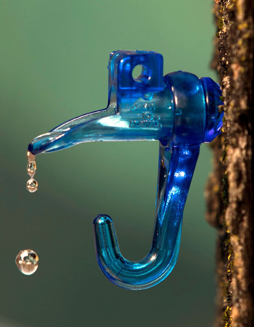 Blue Maple Syrup Taps - 5 - Etsy