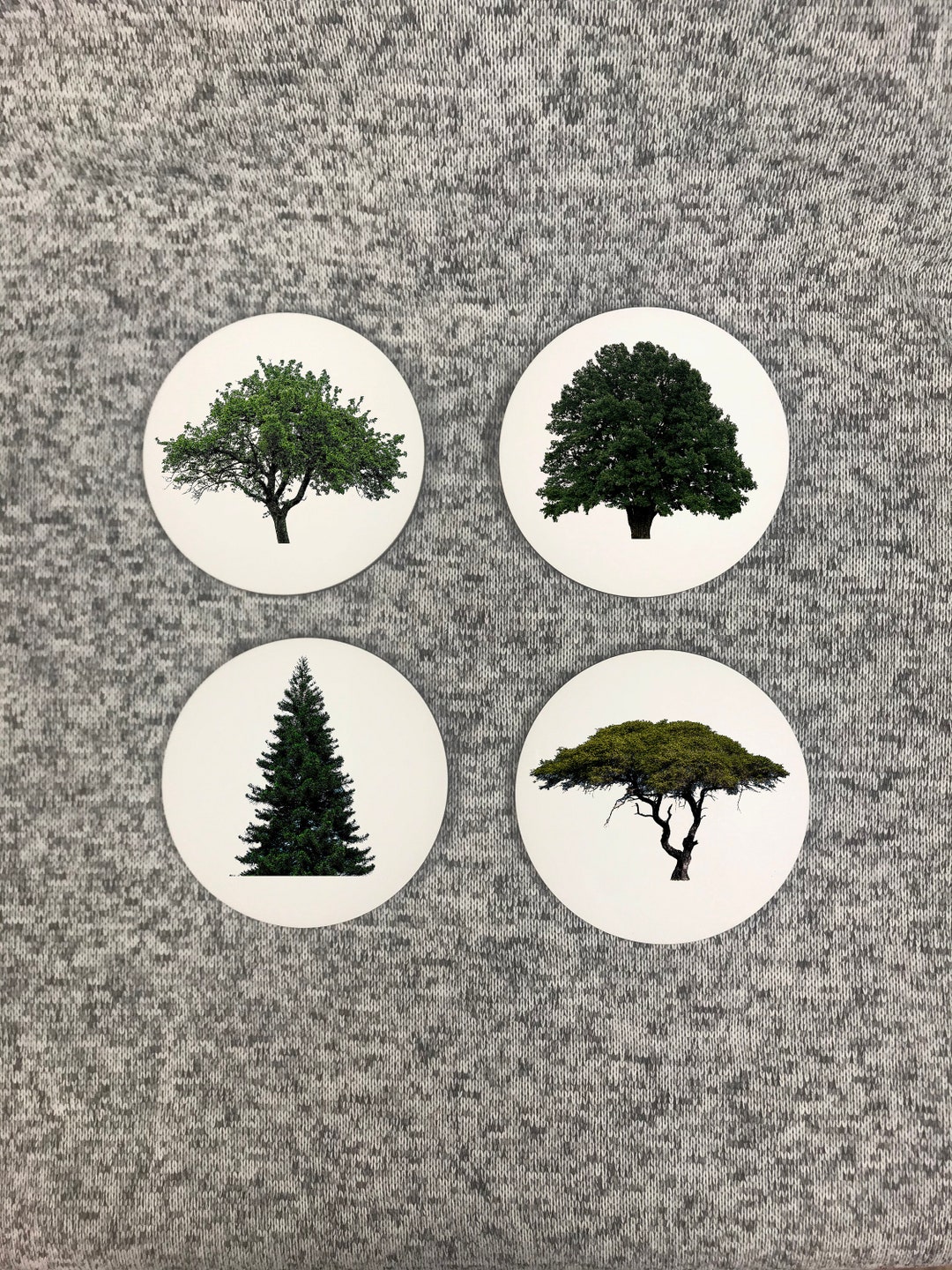 Tree Coasters, Set of 4 Coasters, Free Shipping, Housewarming Gift ...