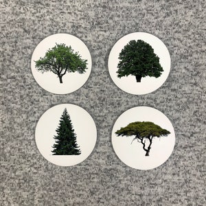 Tree Coasters, Set of 4 Coasters, Free Shipping, Housewarming Gift ...