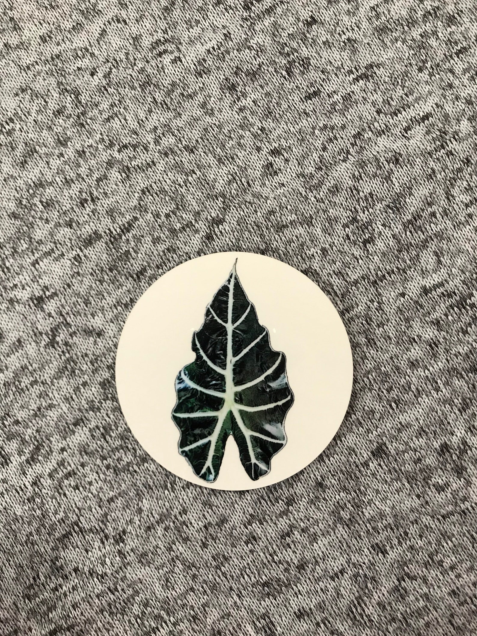 Plant Coasters Set of 4 Coasters Coasters With Stand Free | Etsy