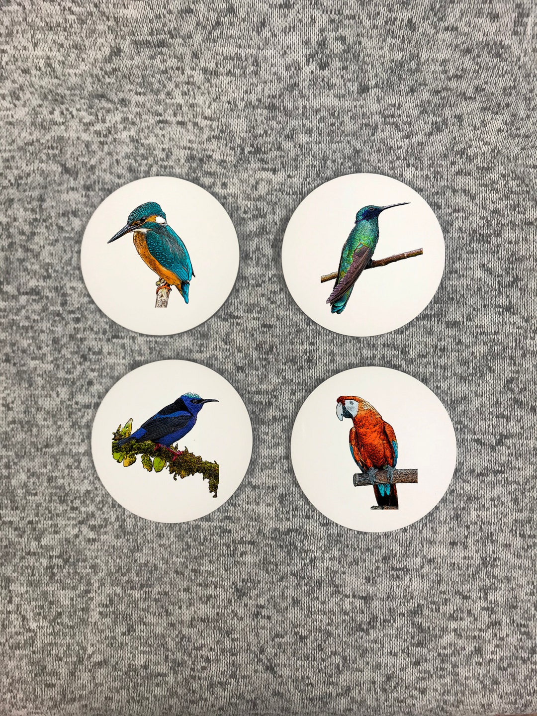 Tropical Bird Coasters, Set of 4 Coasters, Coasters With Stand, Free ...