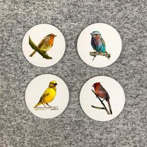 Woodland Bird Coasters, Set of 4 Coasters, Coasters With Stand, Free ...