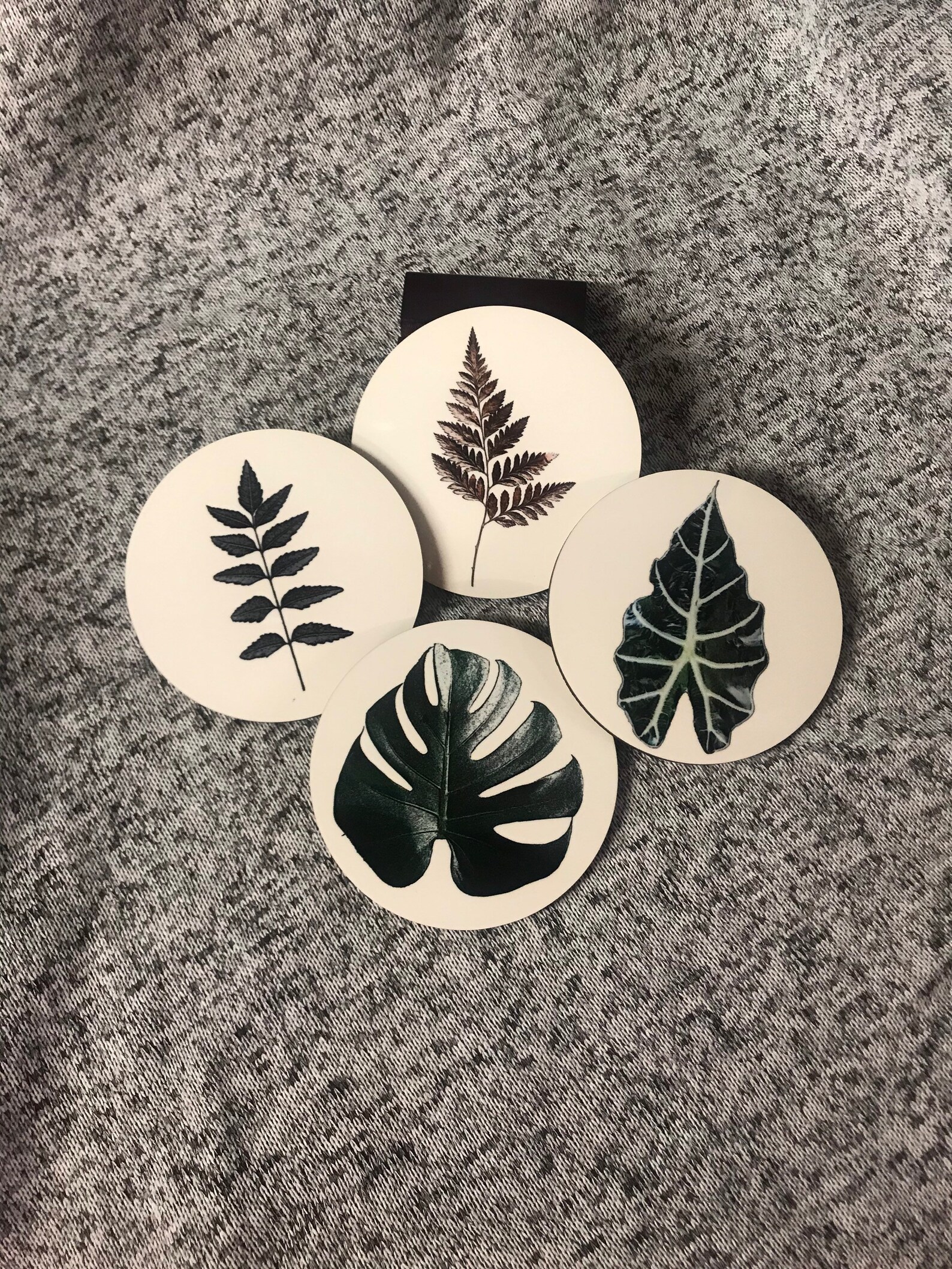 Plant Coasters Set of 4 Coasters Coasters With Stand Free | Etsy