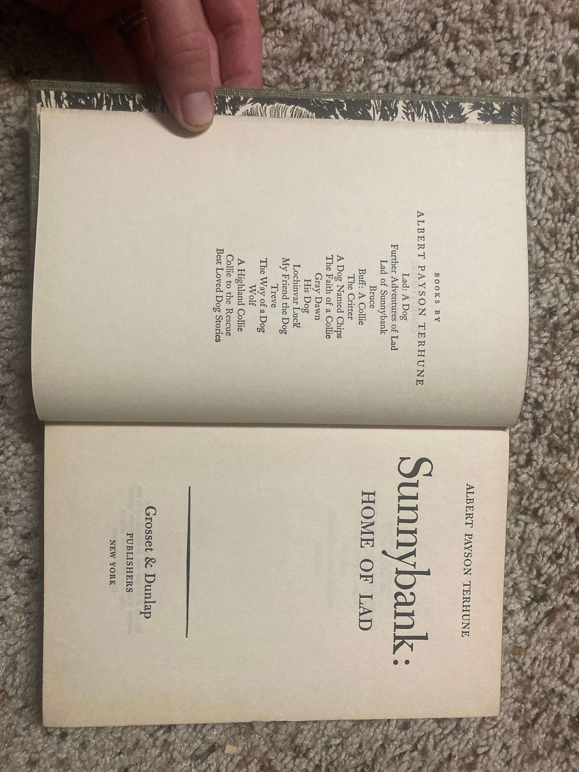 Sunnybank Home of Lad Antique Book - Etsy