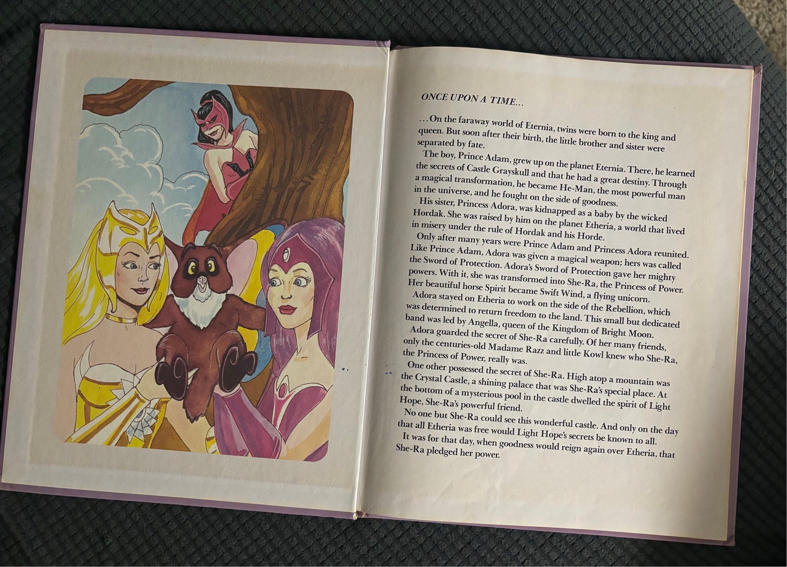 Original Shera Princess of Power Book - Etsy