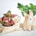 Corgi Planter Animal Planter Ceramic Dog Dog Lover Gift - Etsy