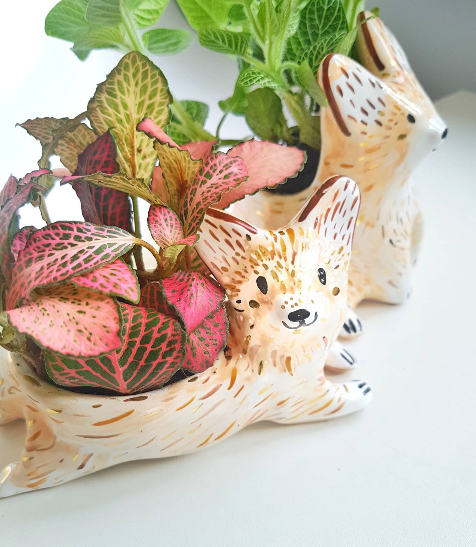 Corgi Planter Animal Planter Ceramic Dog Dog Lover Gift | Etsy