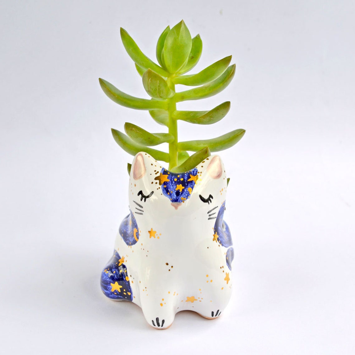 Cat Planter Animal Planter Ceramic Cat Cat Lover Gift - Etsy
