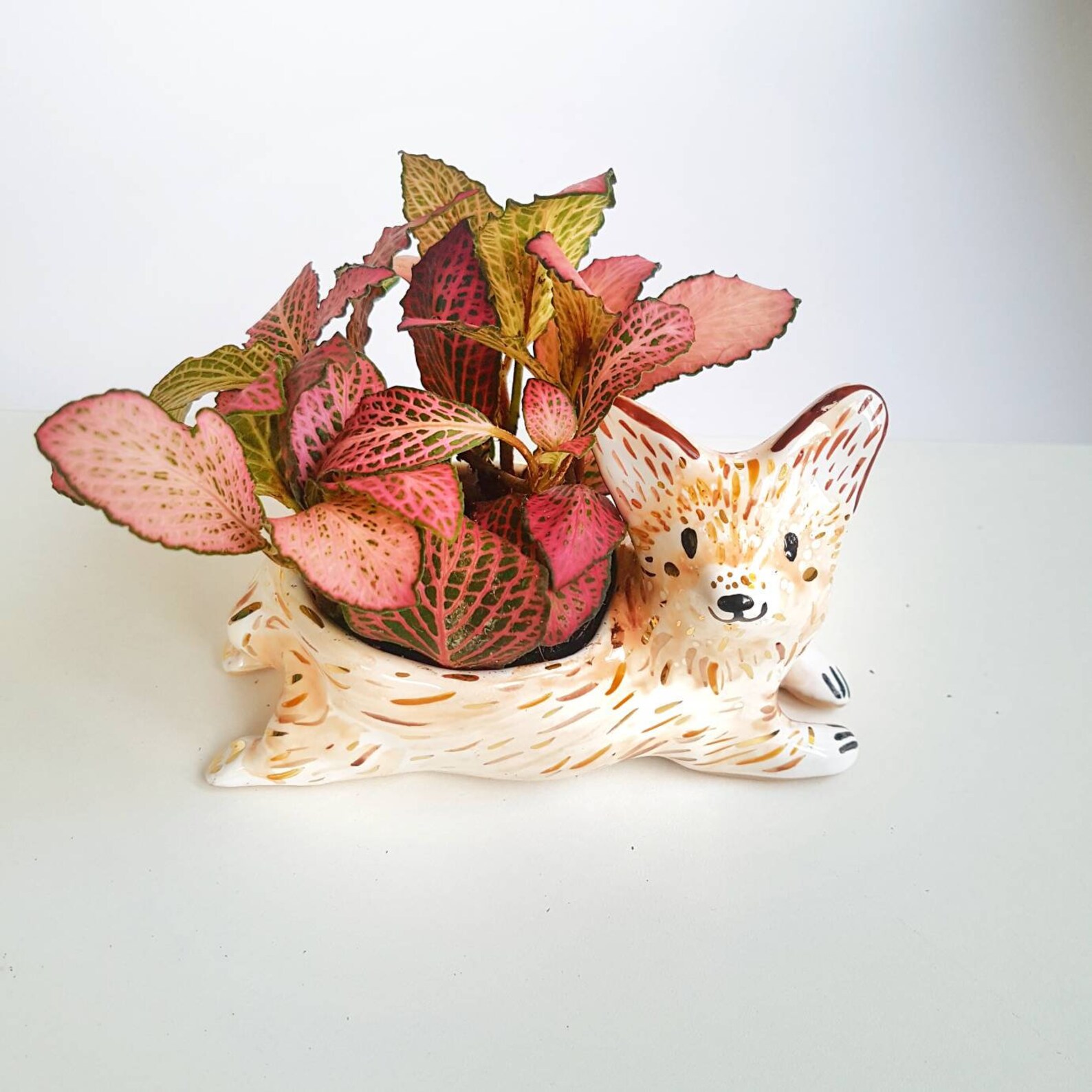 Corgi Planter Animal Planter Ceramic Dog Dog Lover Gift | Etsy