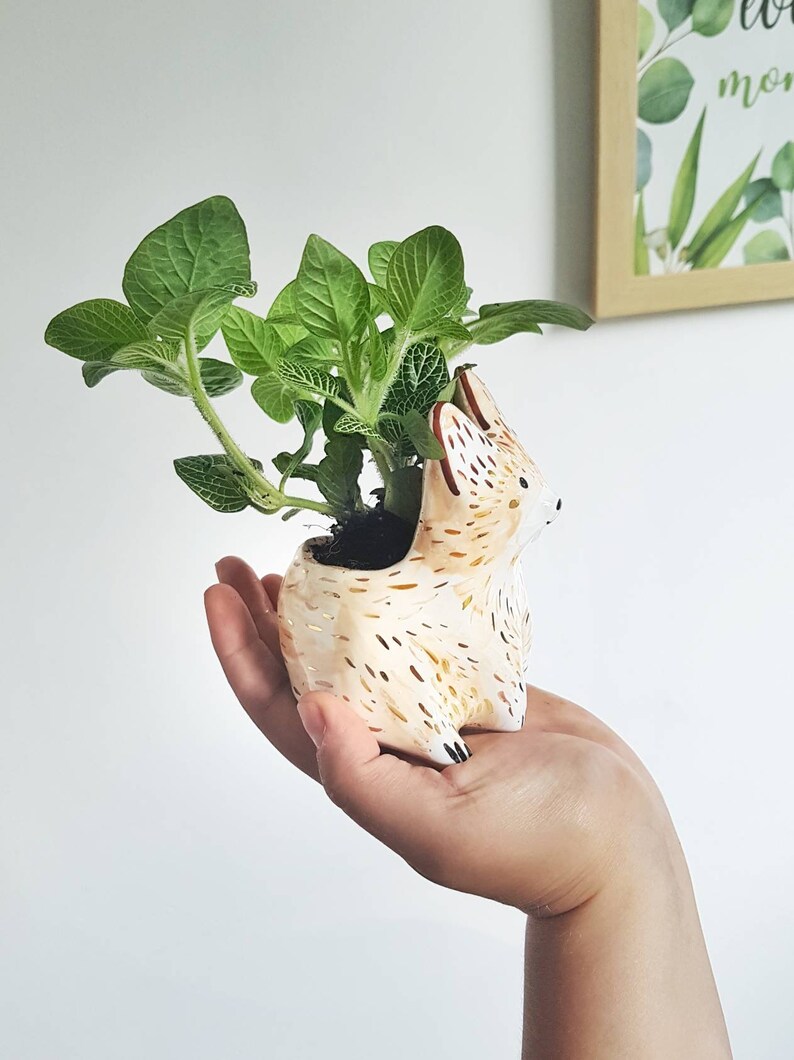 Corgi Planter Animal Planter Ceramic Dog Dog Lover Gift - Etsy