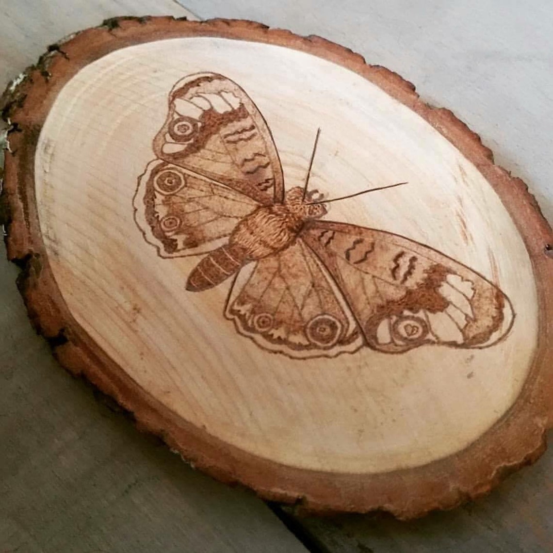 Wood Burned Butterfly - Etsy