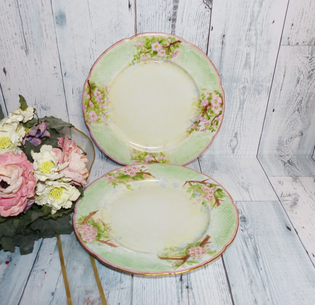 Czechoslovakia Beautiful Hand Painted Plates Set of Two - Etsy