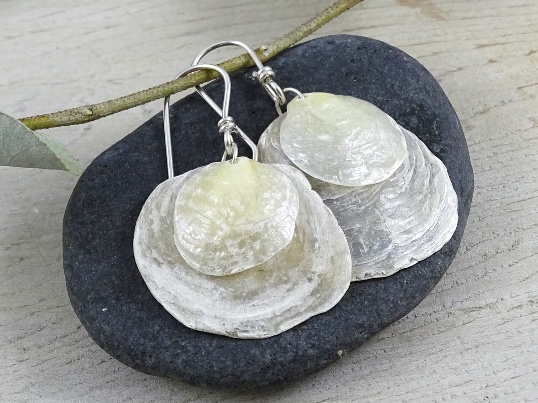 Jingle Shell Earrings | Natural Disc Earrings | White Florida Shells ...