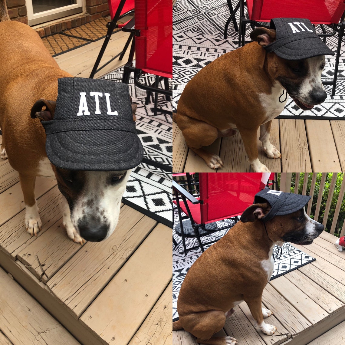 Custom Pet Baseball Hat - Etsy