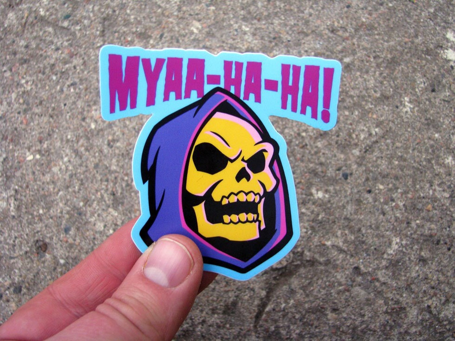 Skeletor Laughing Vinyl Sticker Die Cut MOTU Masters of the - Etsy