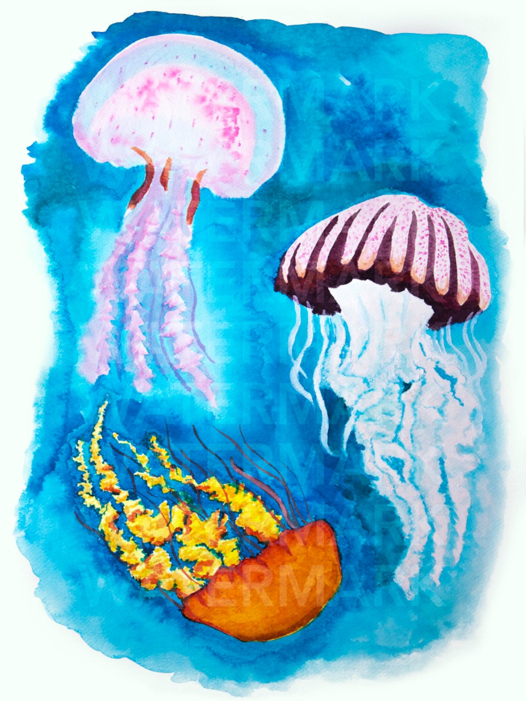 Jellyfish Trio Watercolor I Nursery Print I Ocean Creature Artwork - Etsy