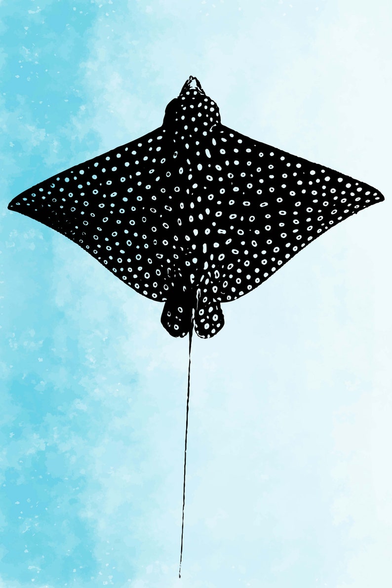 Eagleray Svg, Eagleray Vector, Fish SVG, Eagleray EPS, Eagle Ray JPG ...