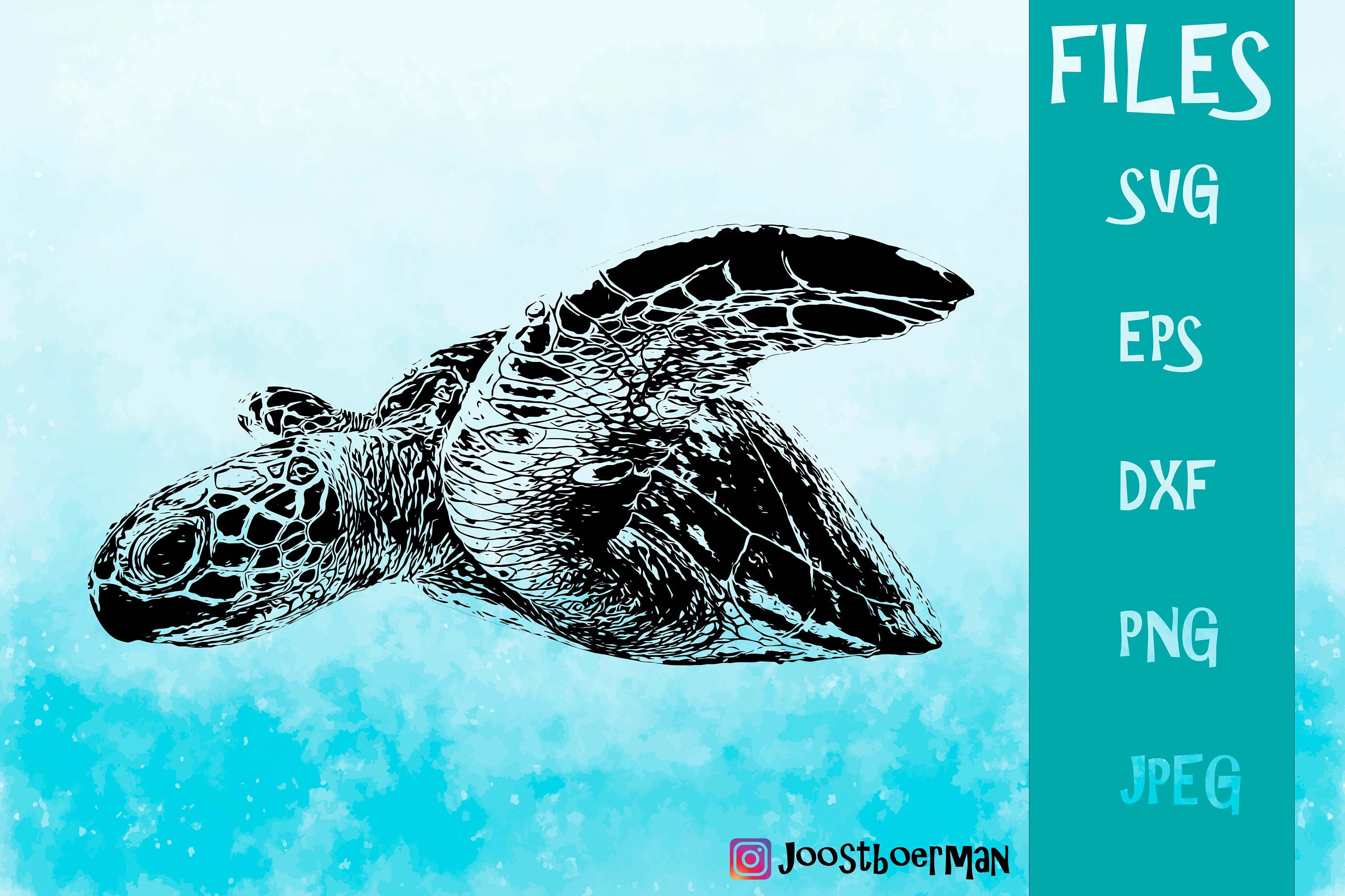 Tortuga SVG Tortuga PNG Clipart de tortuga Animal SVG Tortuga corte ...