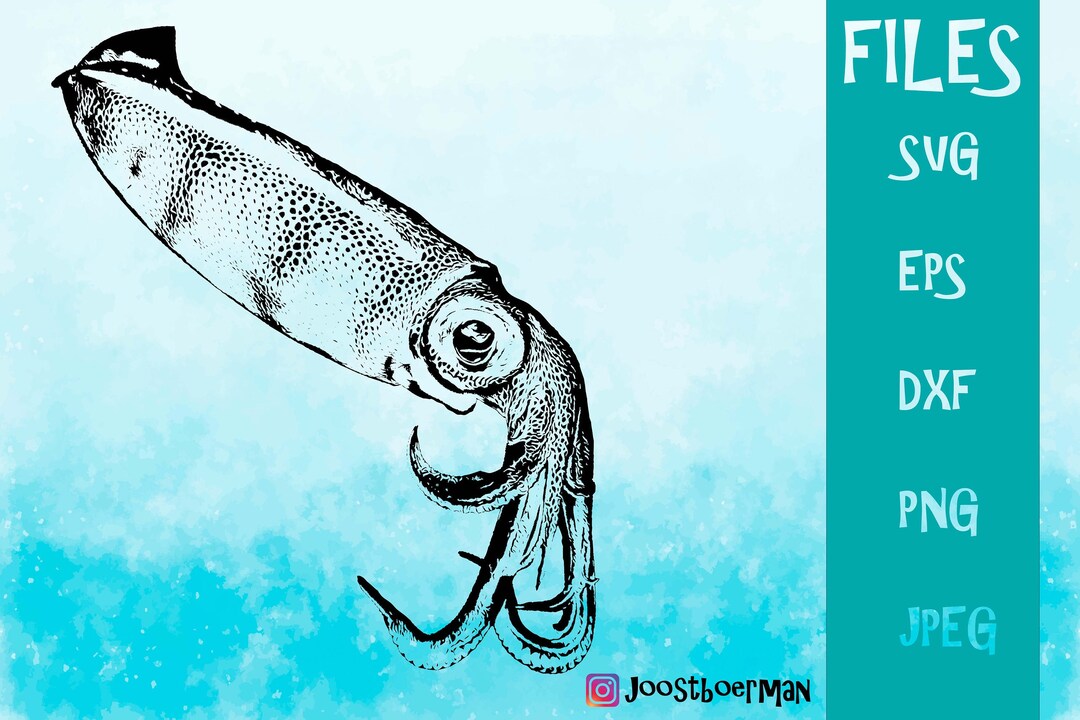 Squid SVG - Squid PNG - Squid Clipart - Animal SVG - Squid Cut Files ...