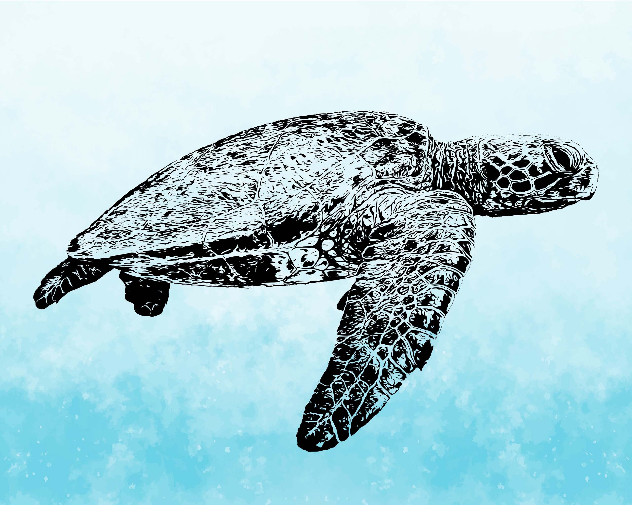 Turtle SVG Turtle PNG Turtle Clipart Animal SVG Turtle Cut Files for ...