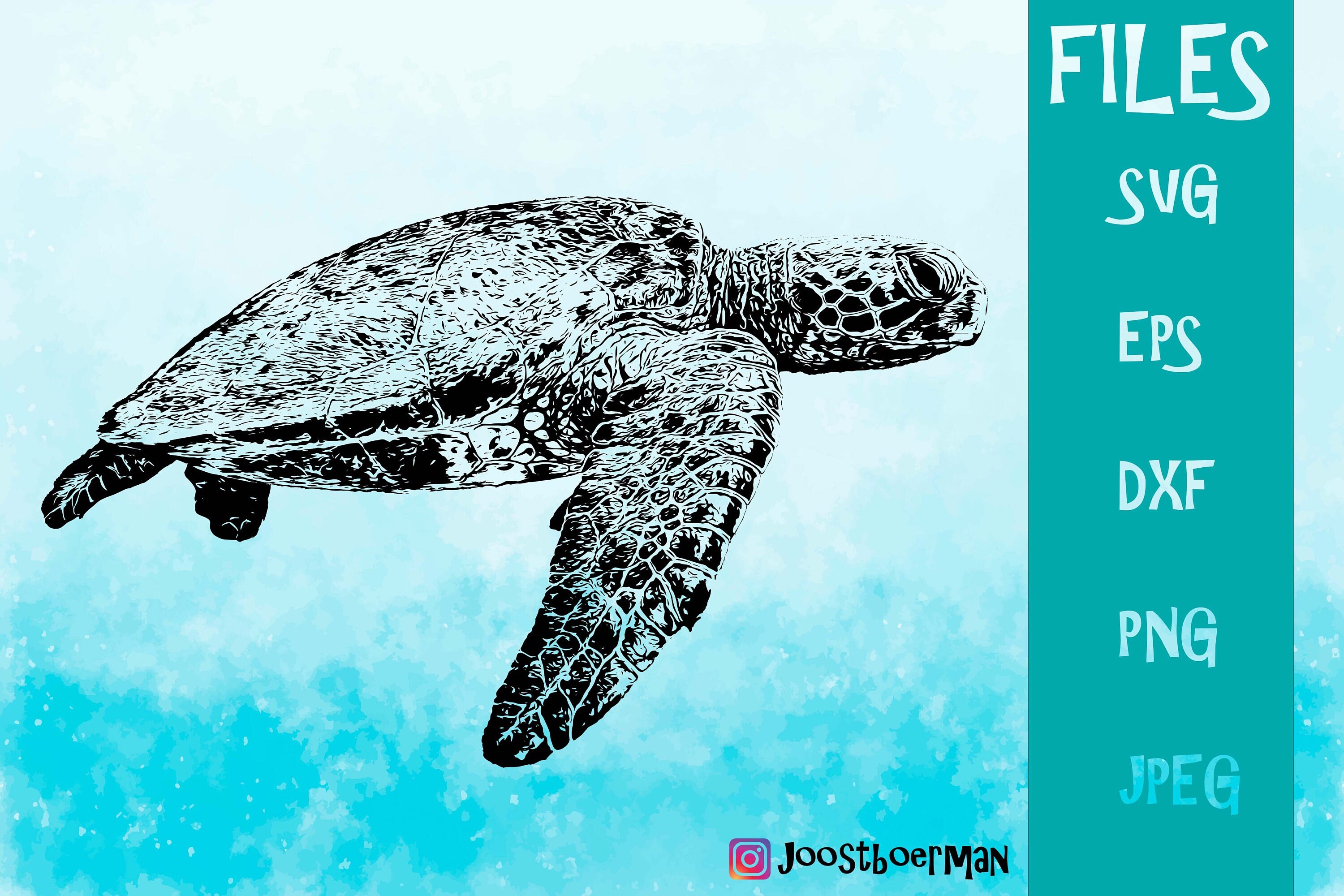 Tortuga SVG Tortuga PNG Clipart de tortuga Animal SVG Tortuga corte ...