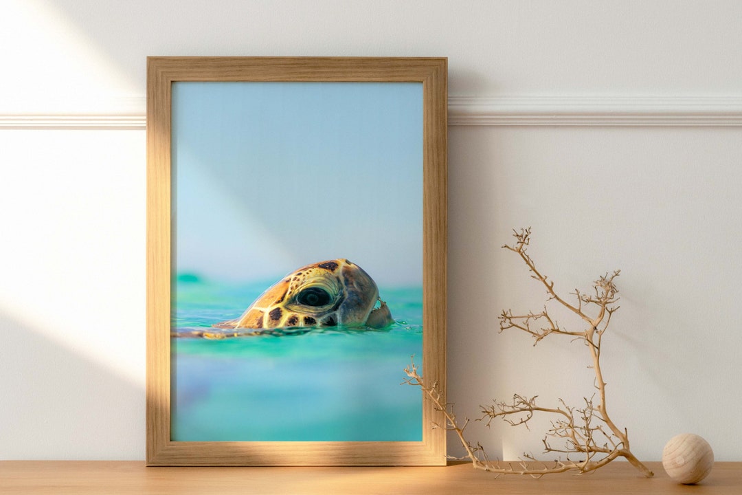 Sea Turtle Print, Ocean Art, Sea Wall Art, Home Decor, Tropical Wall ...