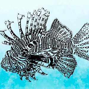 Lionfish SVG - Lionfish - Fish -lionfish JPG - Lionfish PNG - Lionfish ...