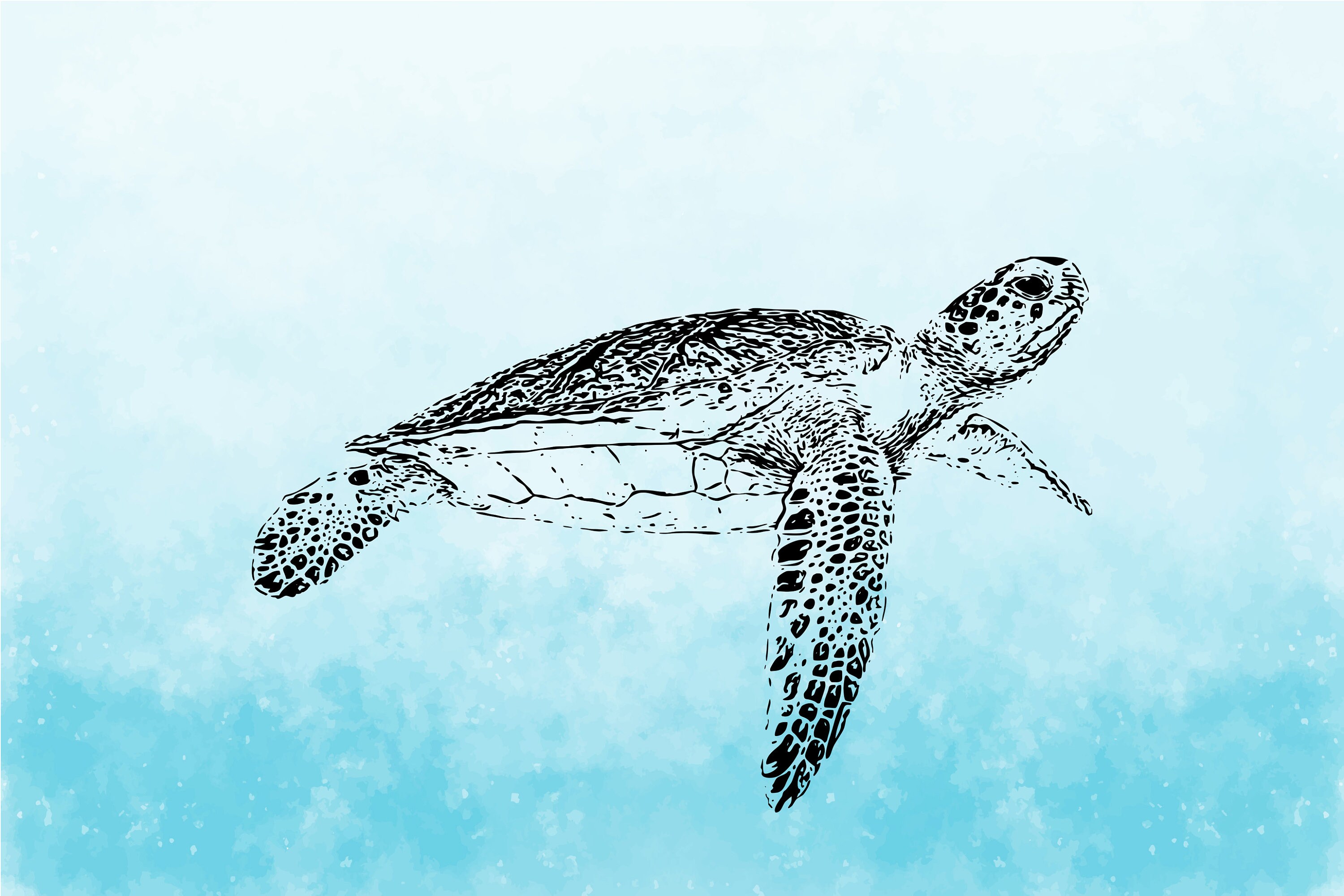 Turtle PNG, Turtle SVG, Ocean Animal, Sea Turtle, Green Sea Turtle ...