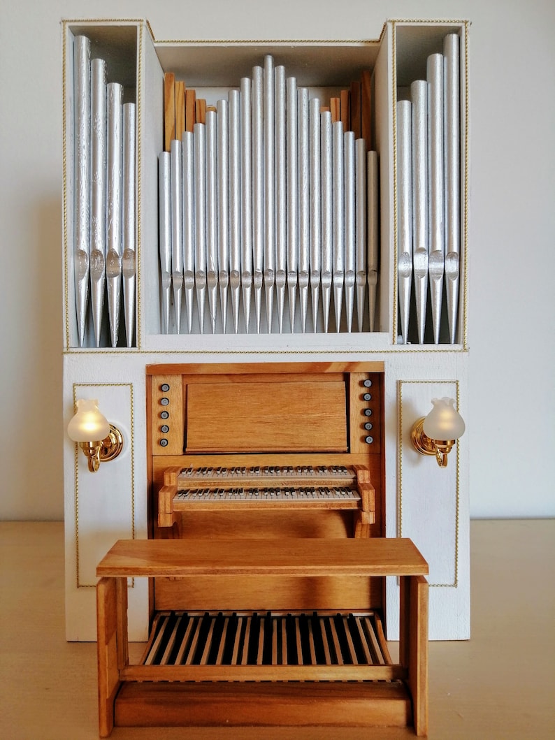 The luminous organs illuminated twice miniature organ models | Etsy