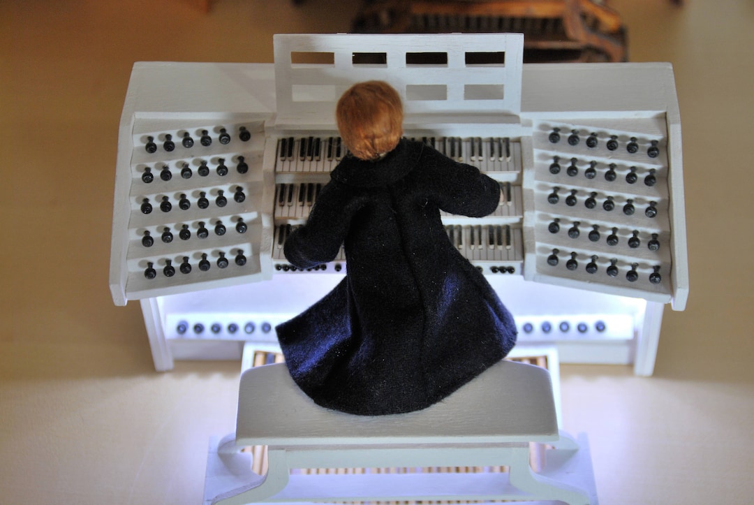 Miniature Organ Models Made by Hand - Etsy