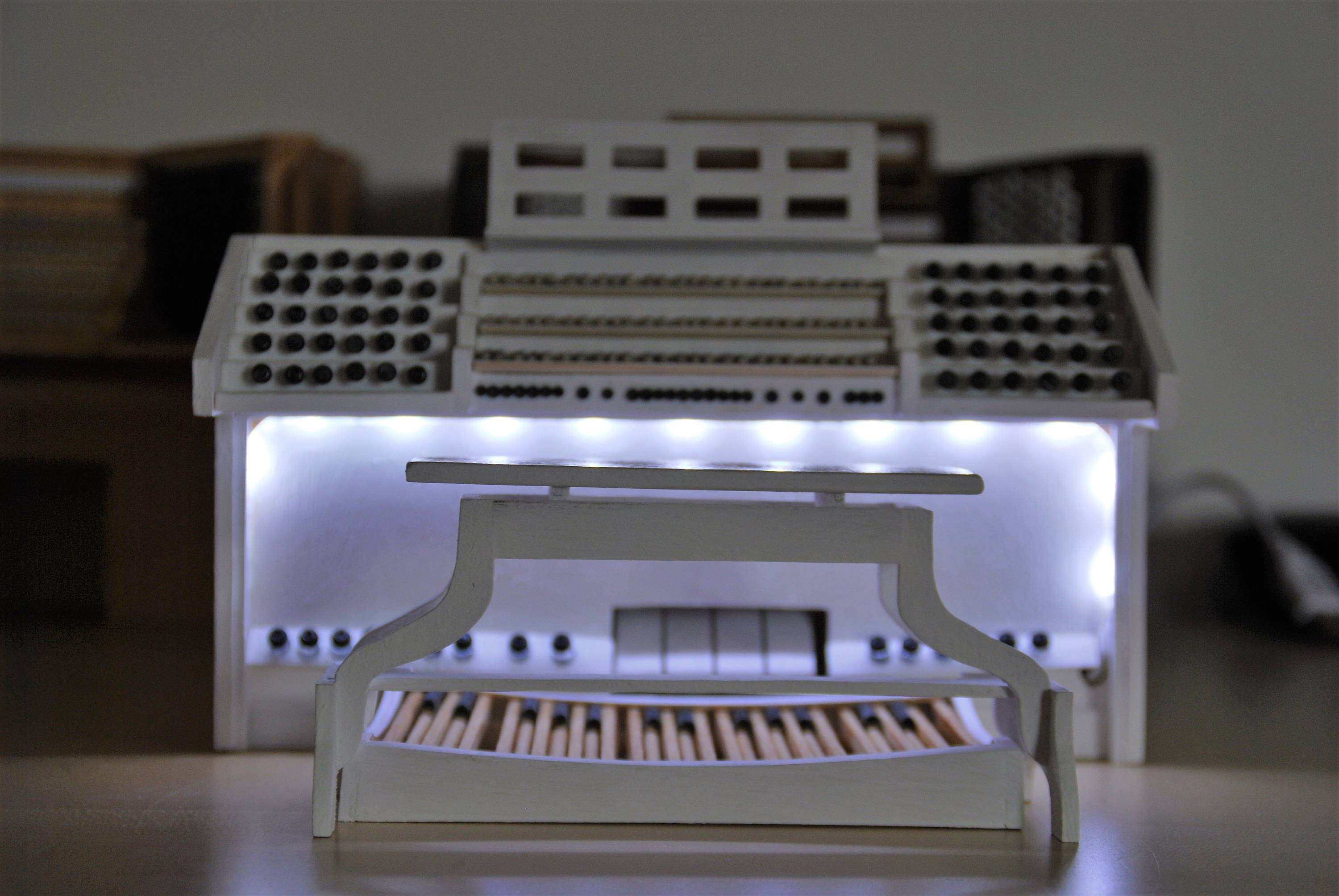 Miniature Organ Models Handmade - Etsy