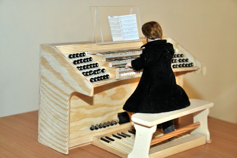 Miniature Organ Models Handmade - Etsy