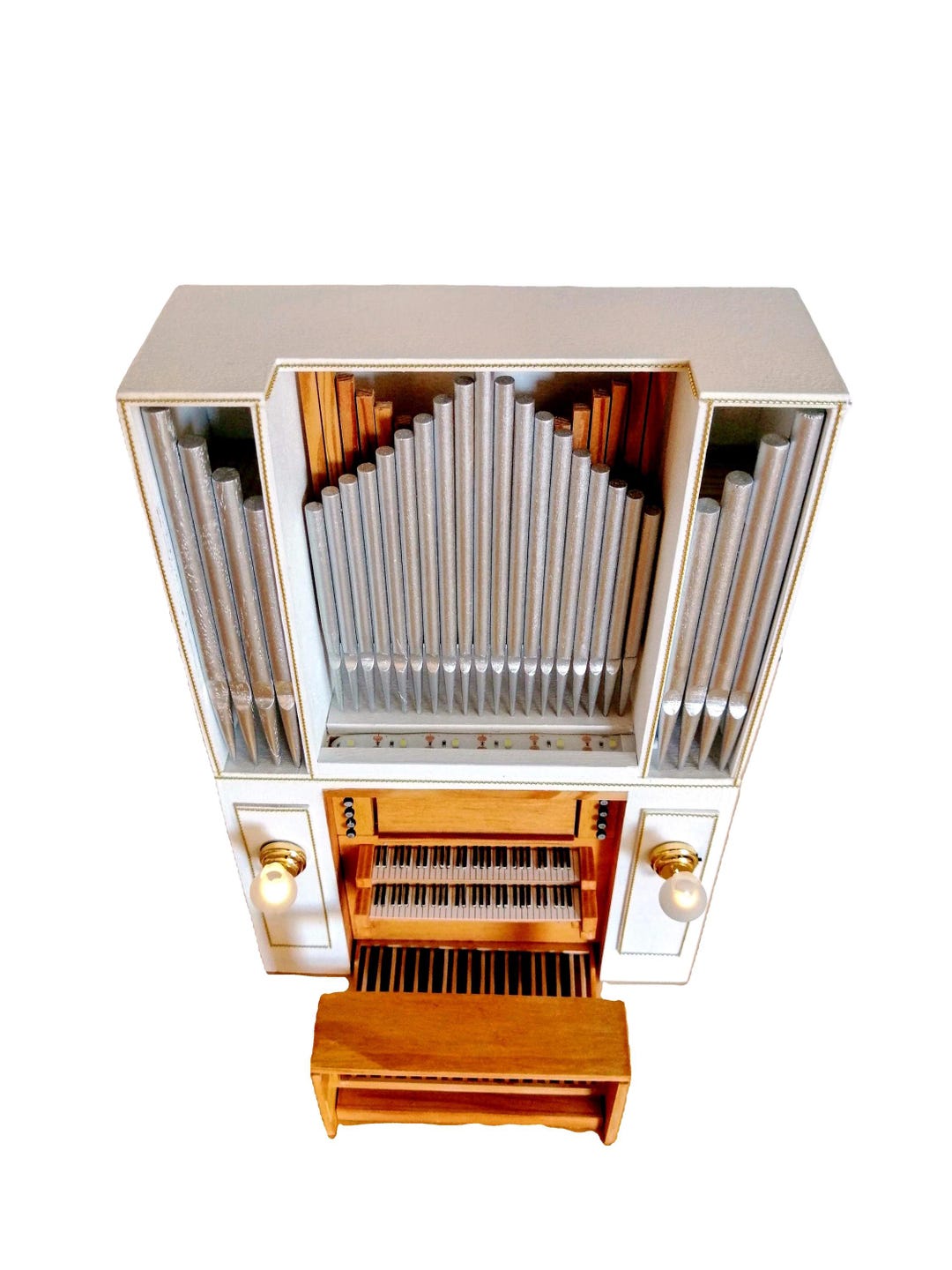 The Luminous Organs With Double Illumination - Miniature Organ Models ...