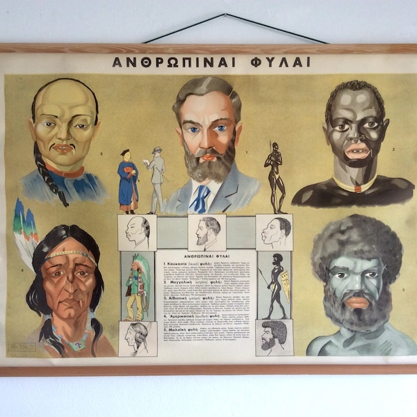 Human Races Poster - Etsy