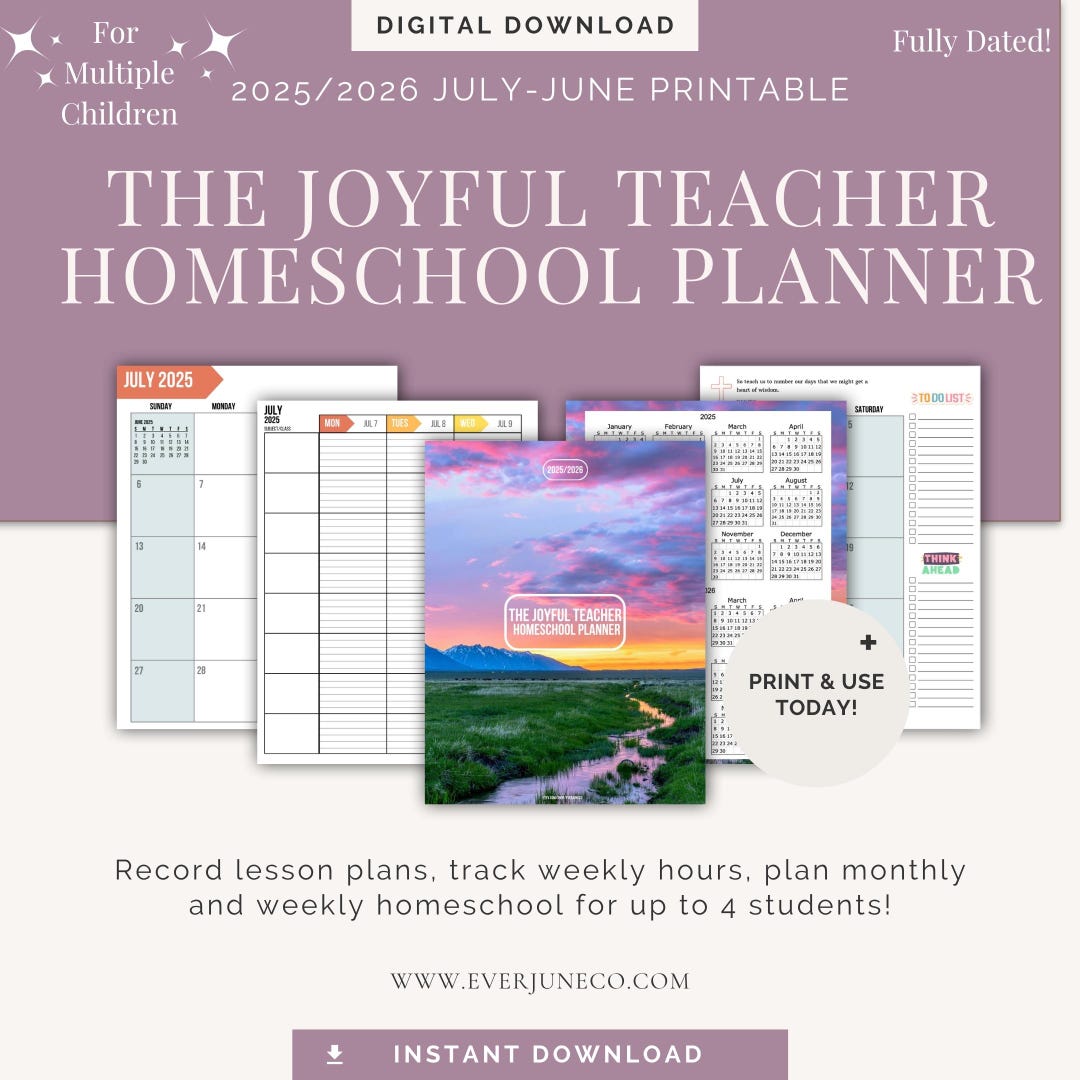 PRINTABLE Homeschool Lesson Planner 2025/2026 July - June With Weekly ...