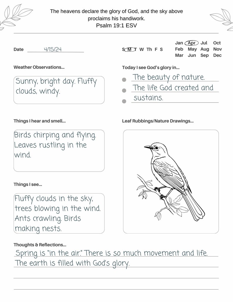All of Creation: Nature Journal for Students (digital Download ...