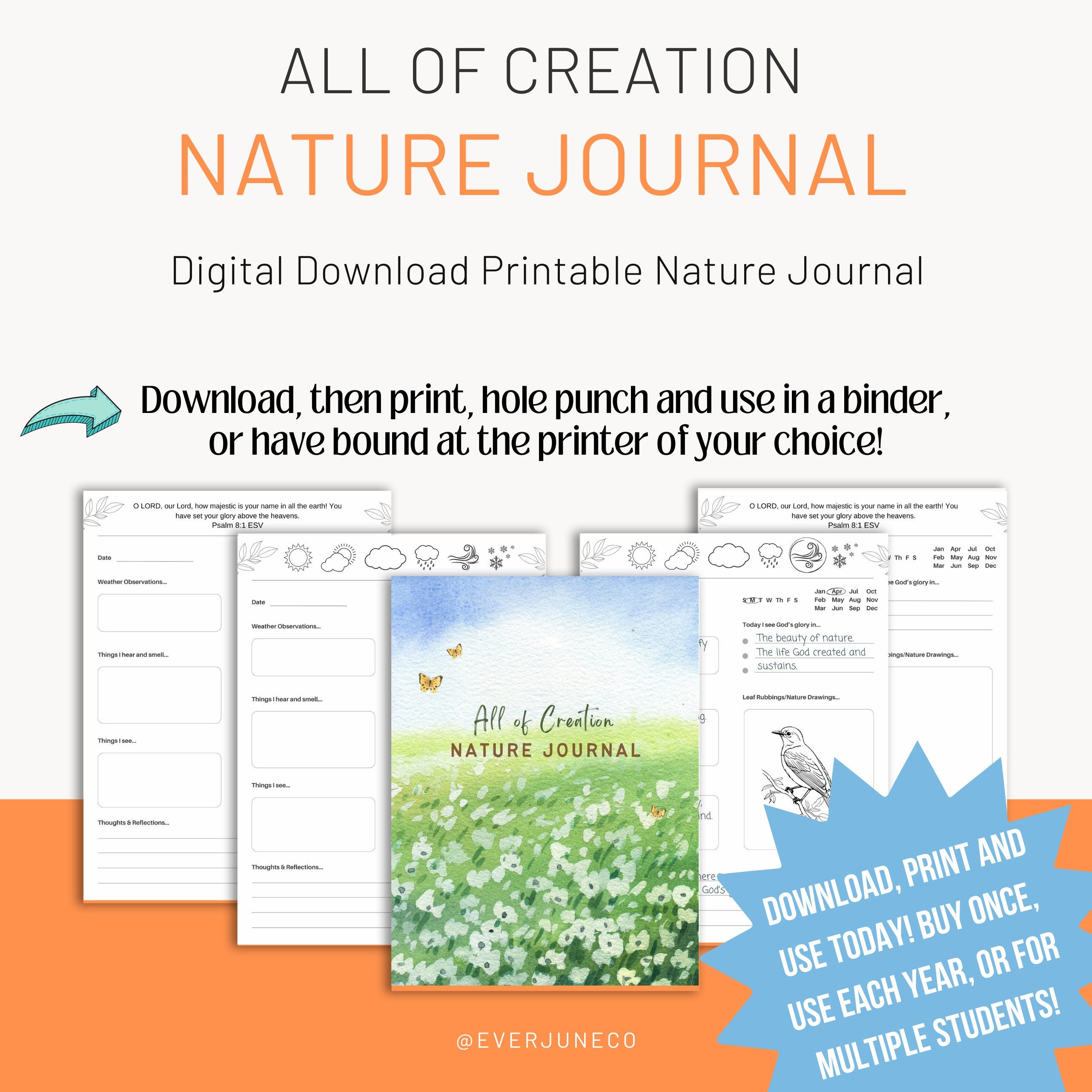 All of Creation: Nature Journal for Students (digital Download ...