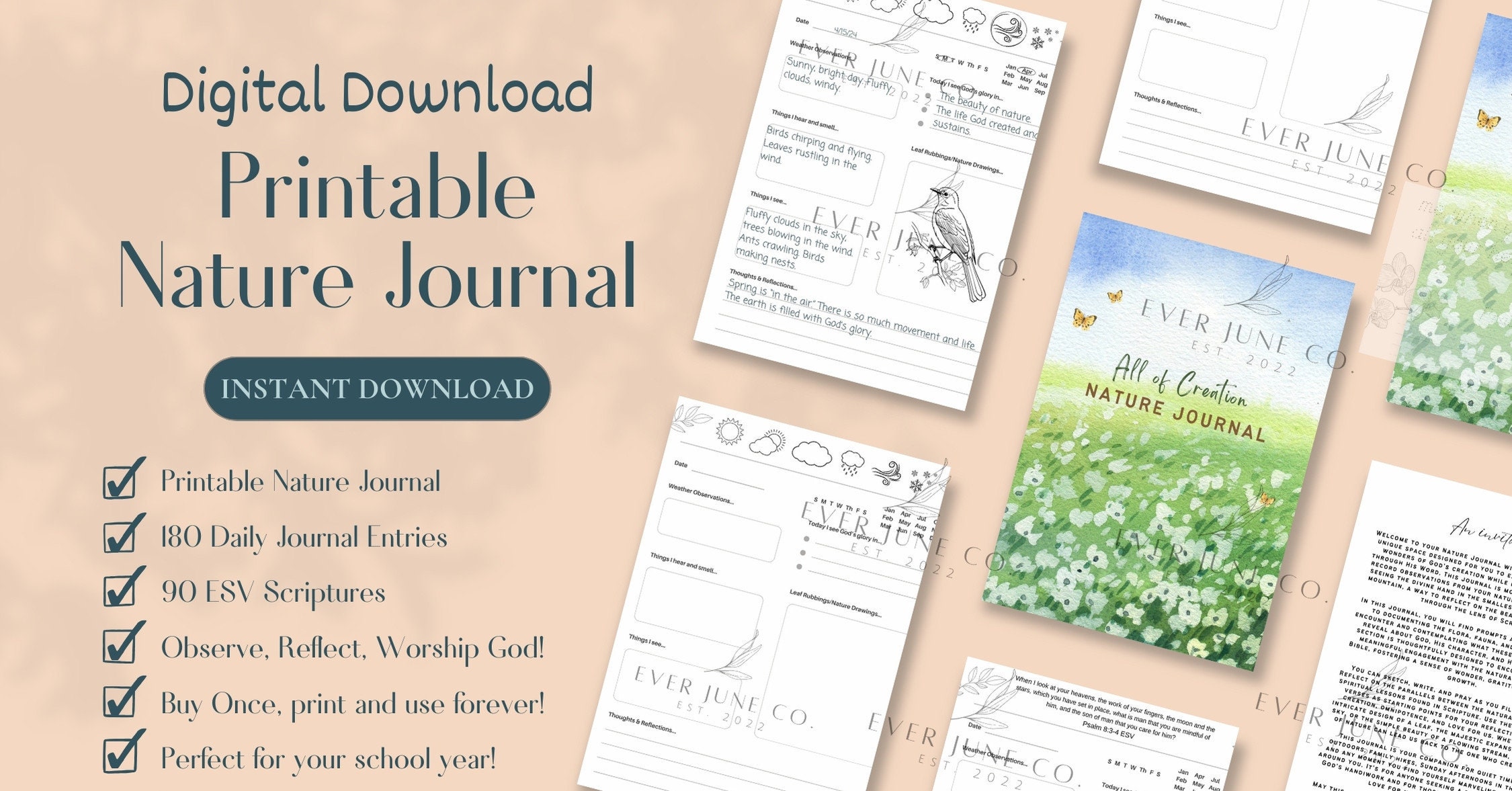 All of Creation: Nature Journal for Students (digital Download ...