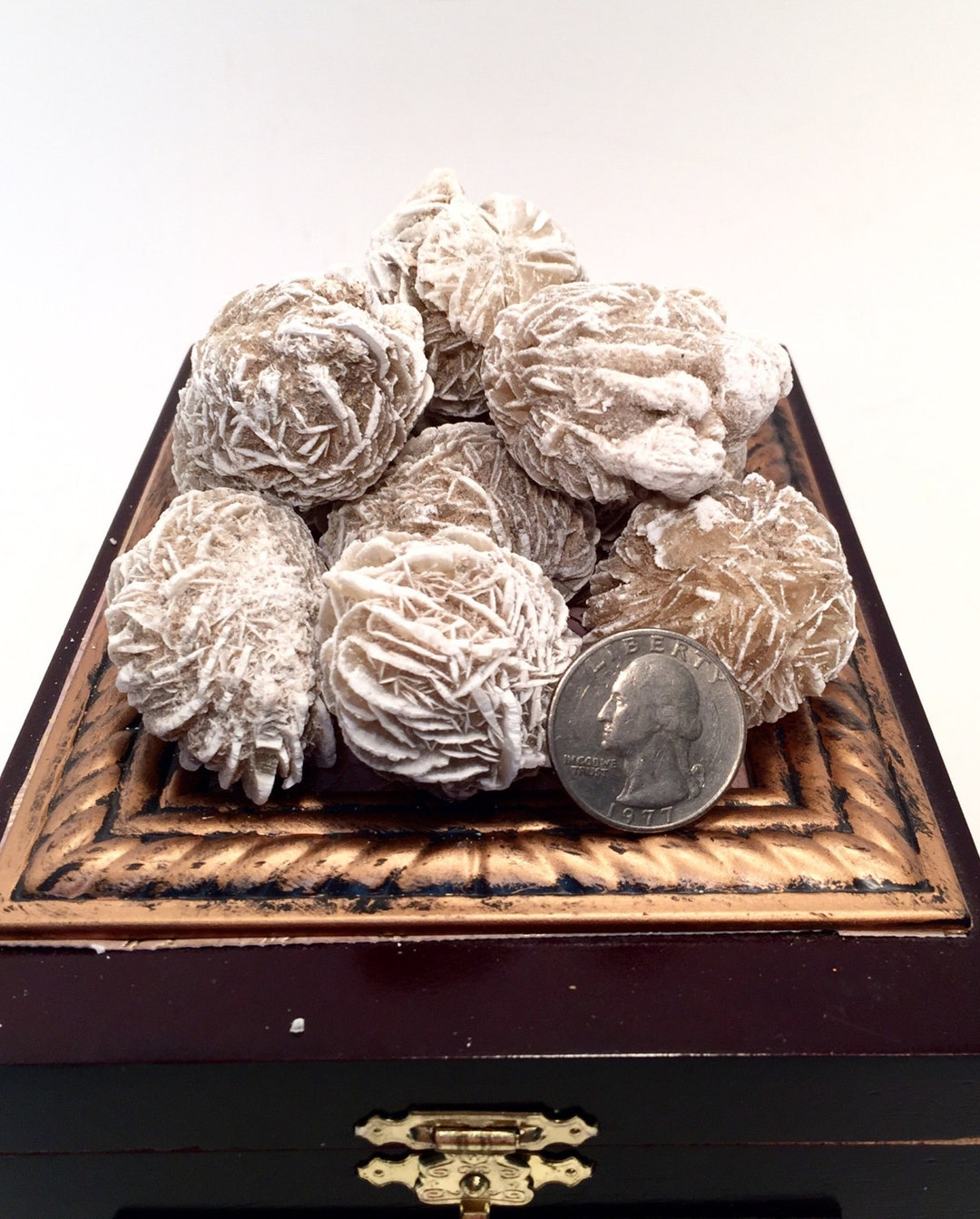 Desert Rose Gypsum: Selenite Rose Crystals, Set of 10 - Etsy