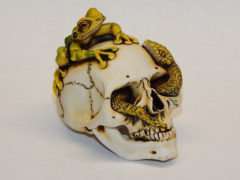 Artist Neil Eyre Eyredesigns Halloween Human Skull Tree Frog Toad Snake ...