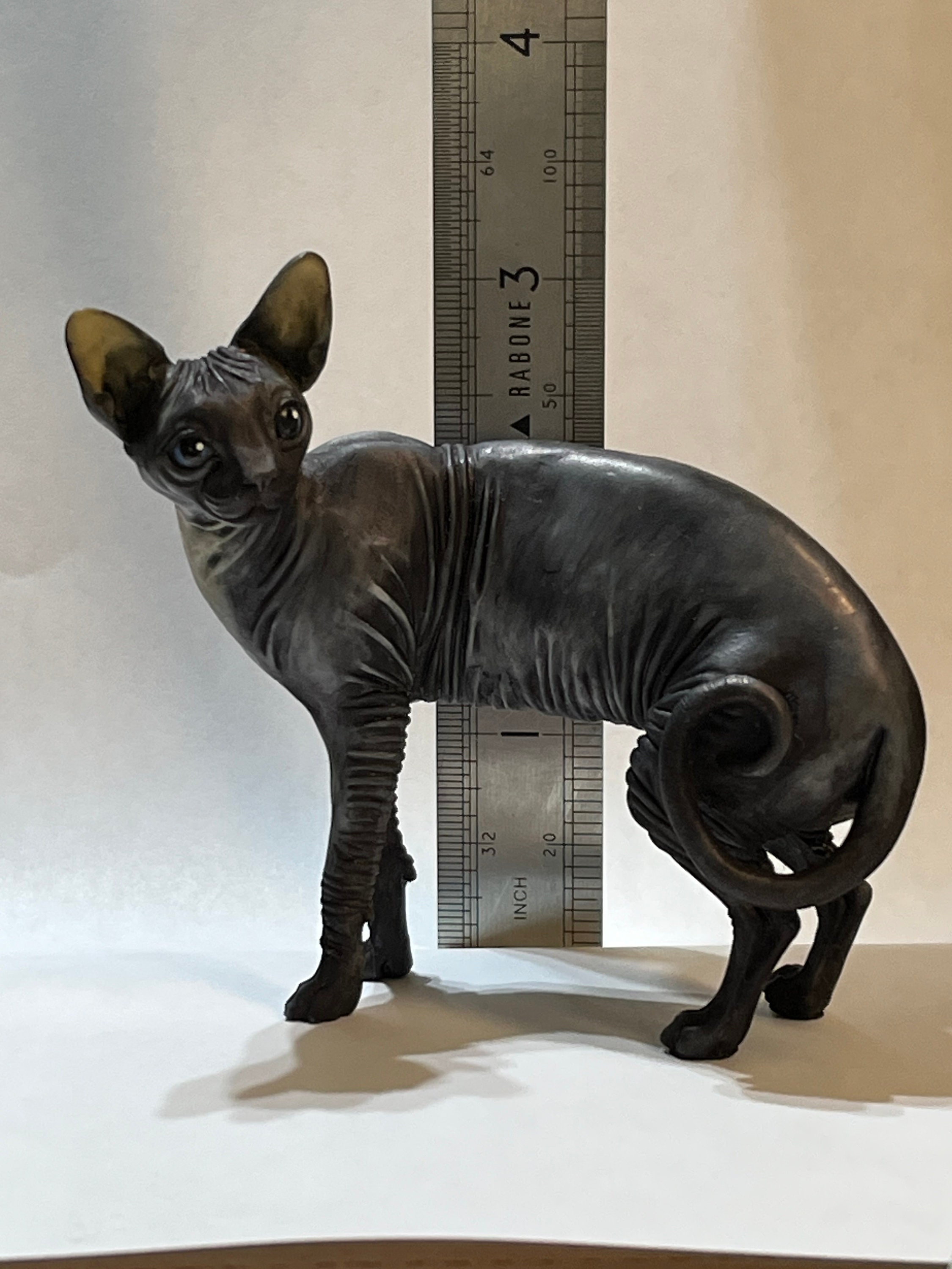 Black hairless cat store