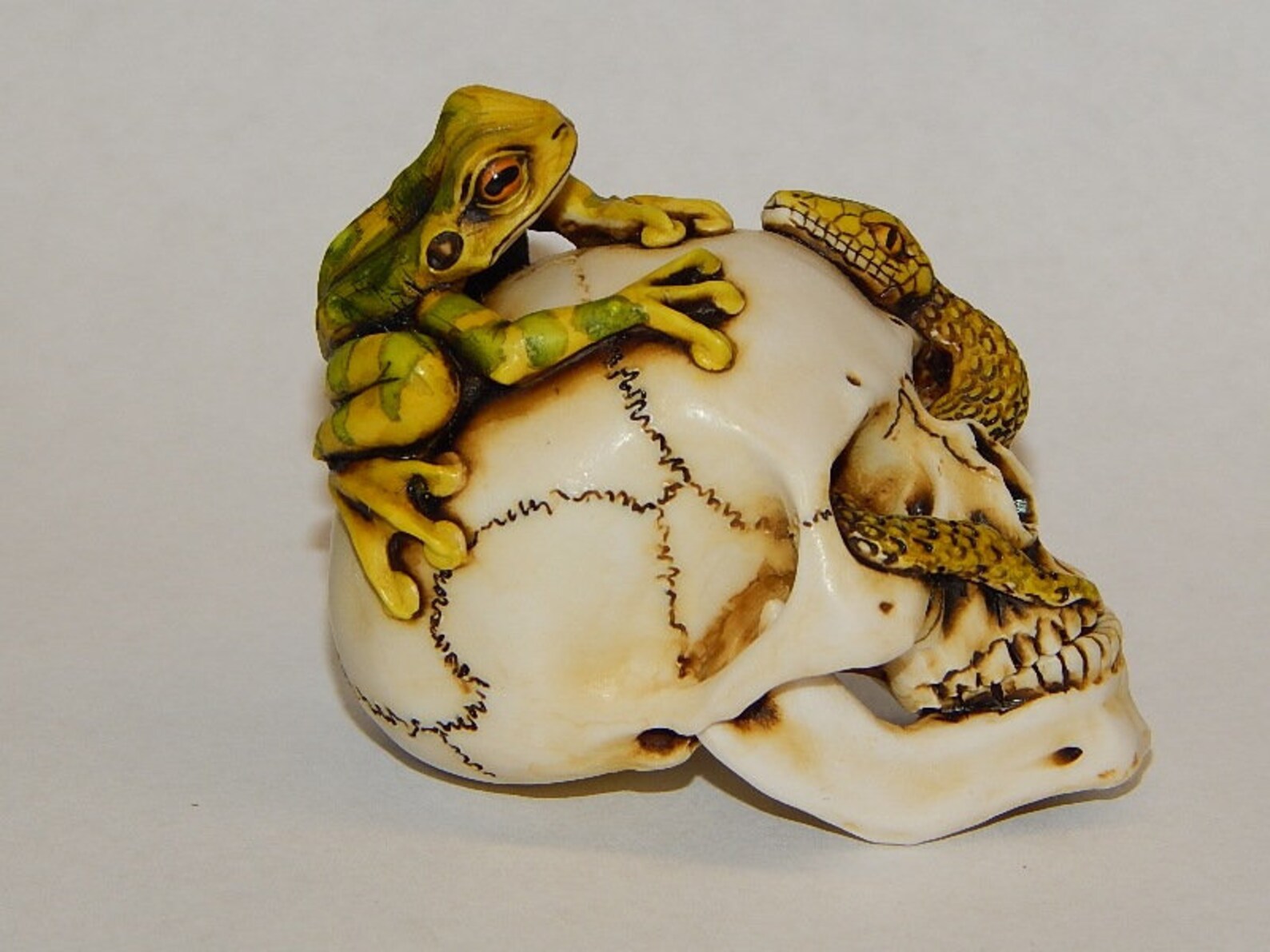 Artist Neil Eyre Eyredesigns Halloween Human Skull Tree Frog Toad Snake ...
