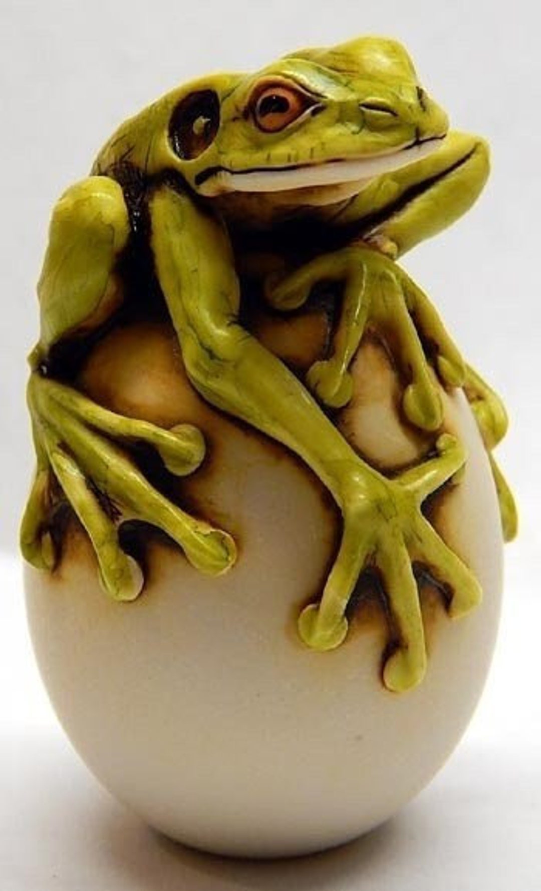 Artist Neil Eyre Eyredesigns Easter Egg Hatching Red Eye Tree Frog ...