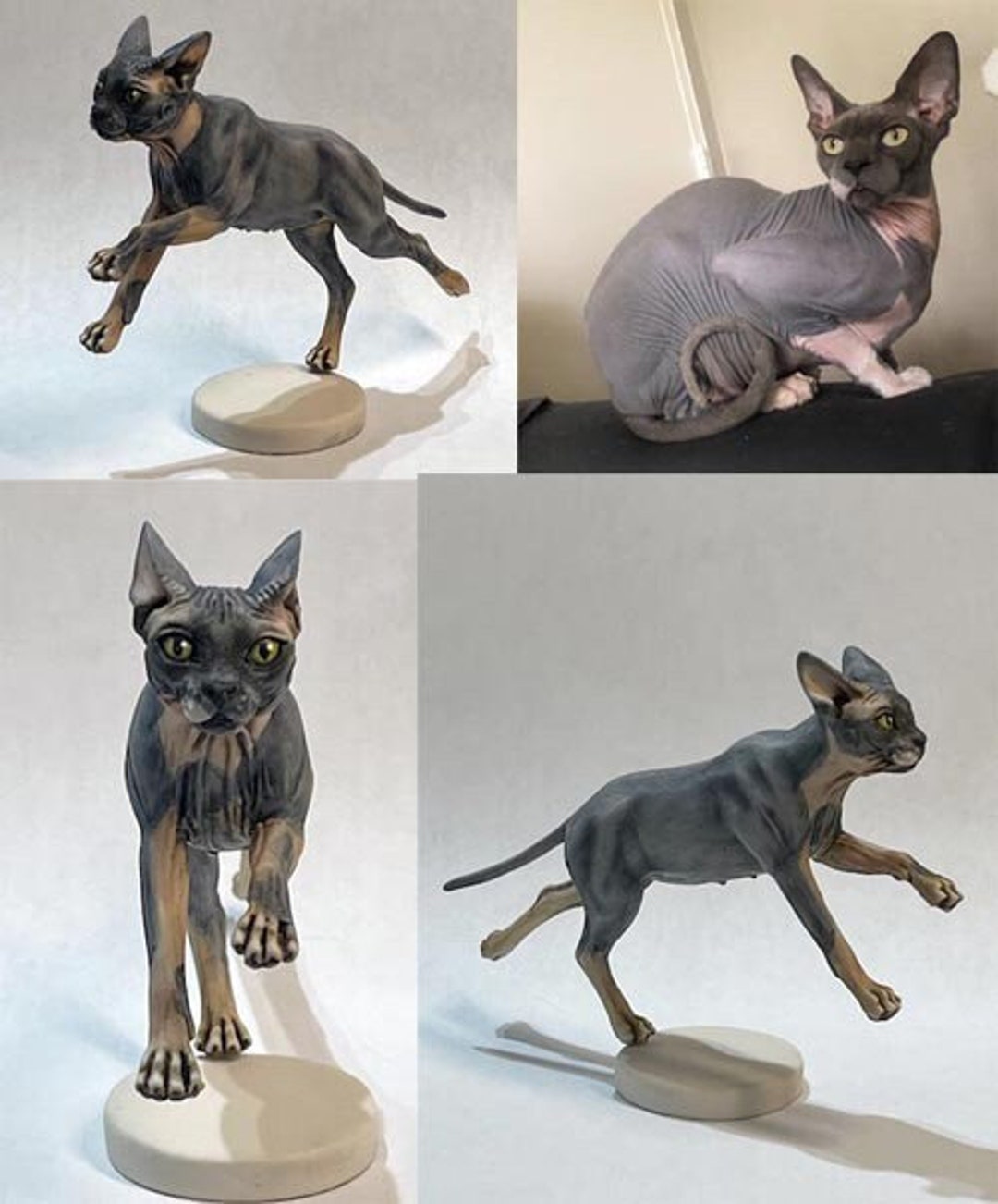 Artist Neil Eyre Eyredesigns Sphynx Cat Kitten Kitty Running Jumping ...