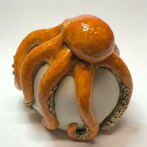 Artist Neil Eyre Eyredesigns Sealife Ocean Octopus Orange on Skull ...